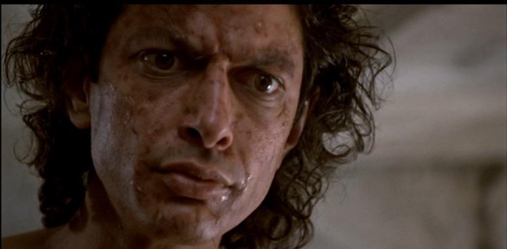 Aidan Codd BA Hons CG Arts & Animation .: The Fly review